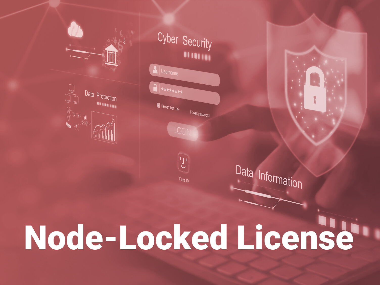 Node-Locked License (License bound to a computer)
